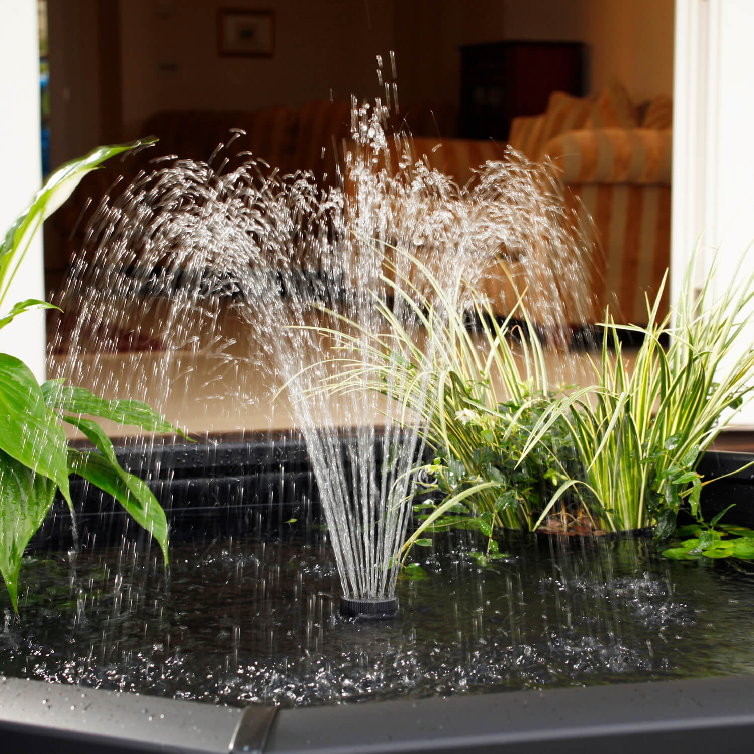 Raised Window Pond Octagon Mocha - Pennington Aquagarden