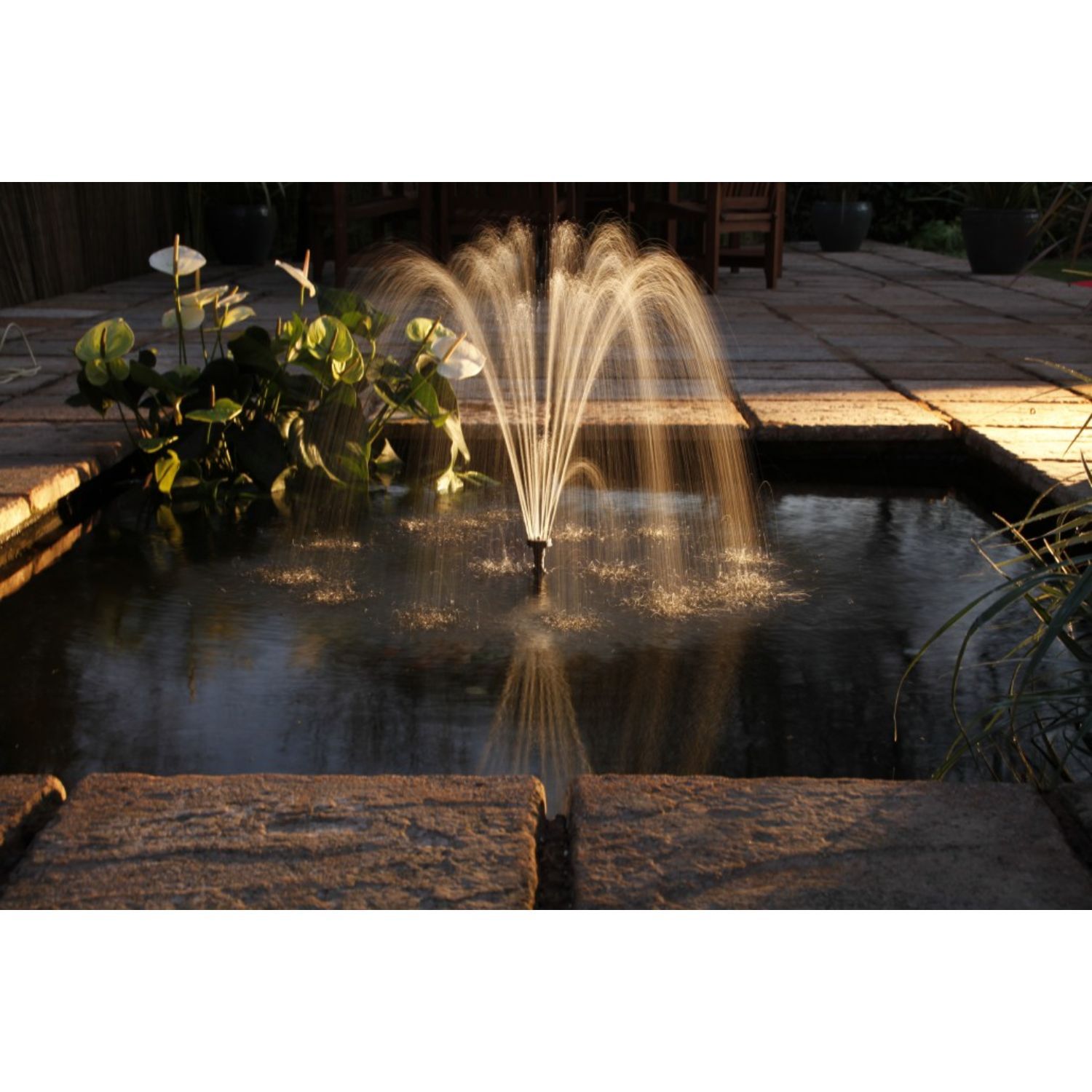 Inpond 5 in 1 200 - Pennington Aquagarden