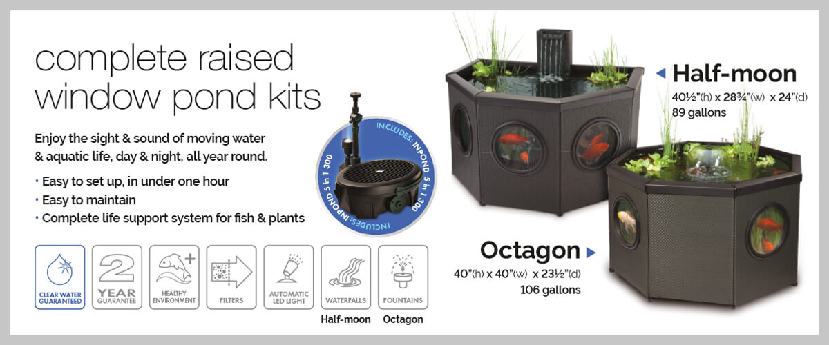 Raised Window Ponds Archives - Pennington Aquagarden