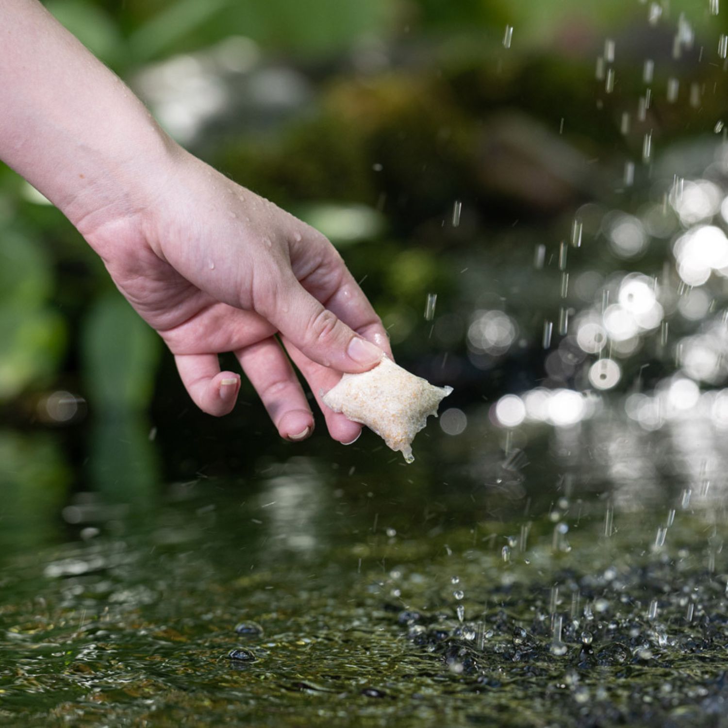 Awesome Pond Pods 12 pack - Pennington Aquagarden Awesome Pond Pods 12 pack - Pennington Aquagarden